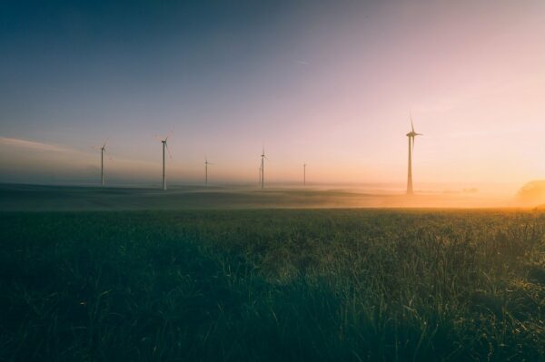 Global approach of standardization for AI environmental sustainability